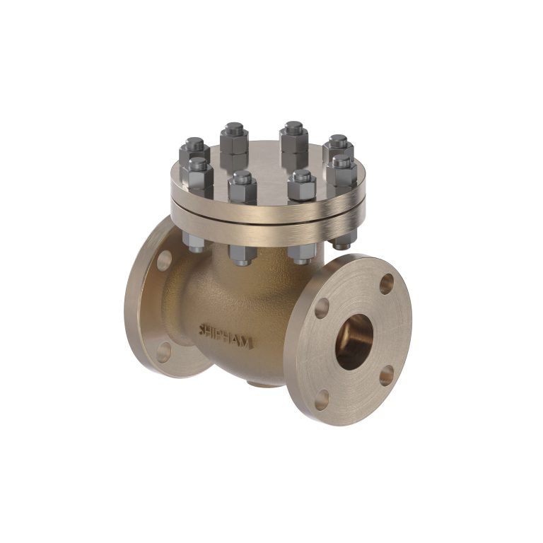 Lift Check Valve with bolted bonnet body style - LC04