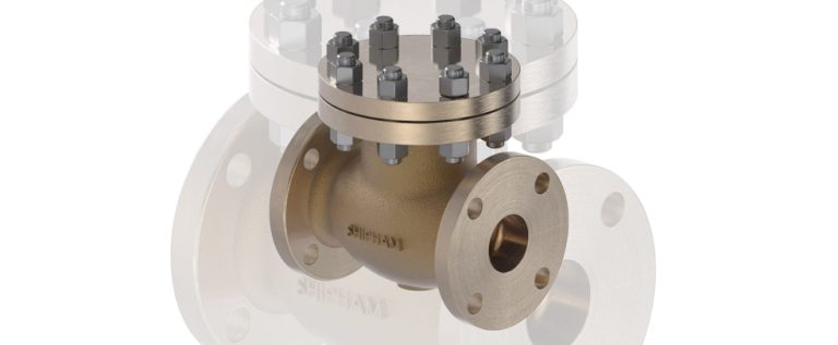 Lift Check Valves - Union & Bolted Bonnet Styles in sizes 1/2" - 3"